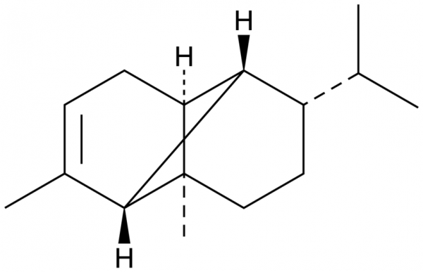 alpha-Copaene | CAS 3856-25-5 | Cayman Chemical | Biomol.com