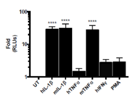 NF-kappaB Reporter Cellular Assay Pack (CHOK1) | BPS Bioscience | Biomol.com