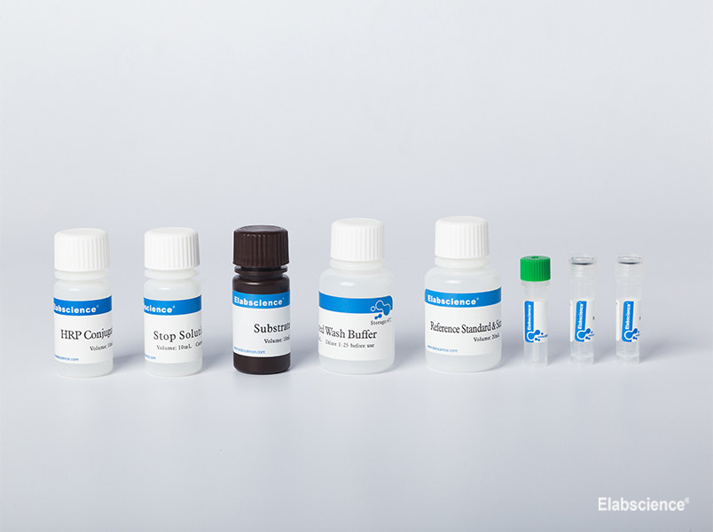 Human EPO (Erythropoietin) ELISA Kit | Elabscience | Biomol.de