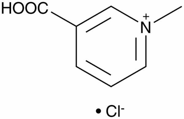 Trigonelline (chloride) | CAS 6138-41-6 | Cayman Chemical | Biomol.com
