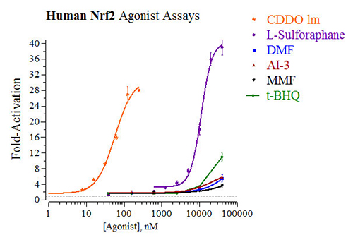 Nrf2 (Human) Reporter Assay System | Indigo Biosciences | Biomol.com