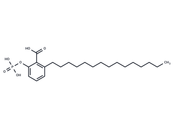 Ginkgolic acid 2-phosphate | CAS 2281761-58-6 | TargetMol | Biomol.com