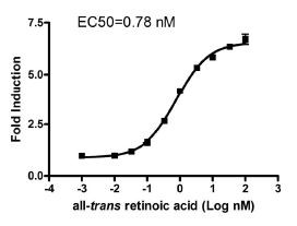 RARalpha Reporter Cellular Assay Pack | BPS Bioscience | Biomol.com