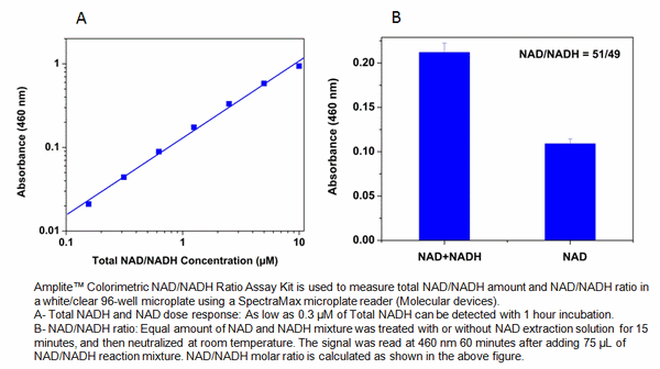 Amplite(TM) Colorimetric NAD/NADH Ratio Assay Kit | AAT Bioquest ...