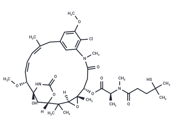 Maytansinoid DM4 | CAS 799840-96-3 | TargetMol | Biomol.com