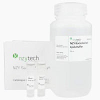 NZYtech | Biomol GmbH - Life Science Shop
