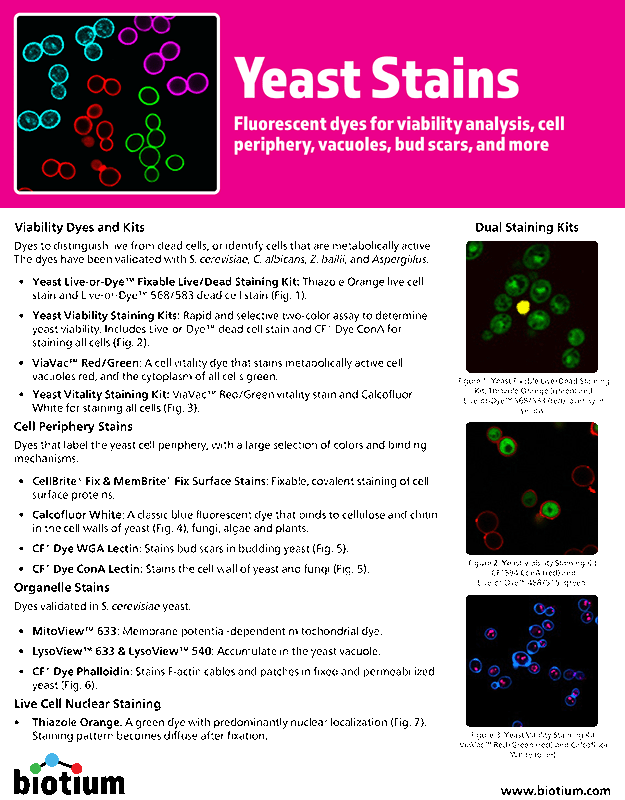 Biotium | Catalogs | Resources | Biomol GmbH - Life Science Shop