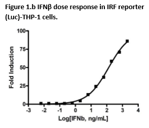 IRF Reporter (Luc) - THP-1 Cell line | BPS Bioscience | Biomol.com
