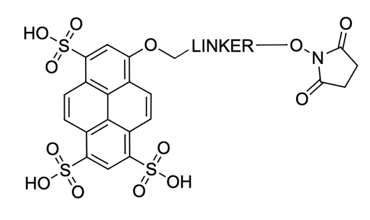 UGA 405 NHS ester [equivalent to Alexa Fluor 405 NHS ester] | U-genes ...