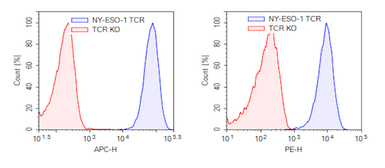 NY-ESO-1 TCR (c259) CD8+ NFAT-Luciferase Reporter Jurkat Cell Line ...