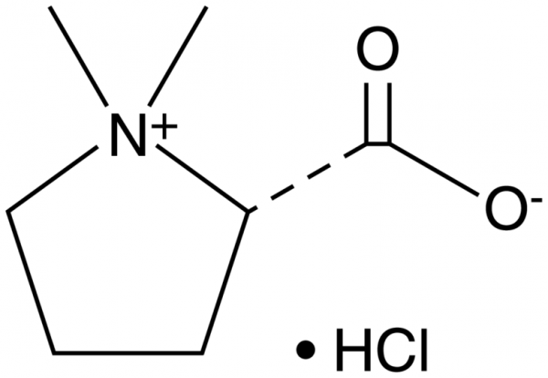 Stachydrine (hydrochloride) | Cayman Chemical | Biomol.com