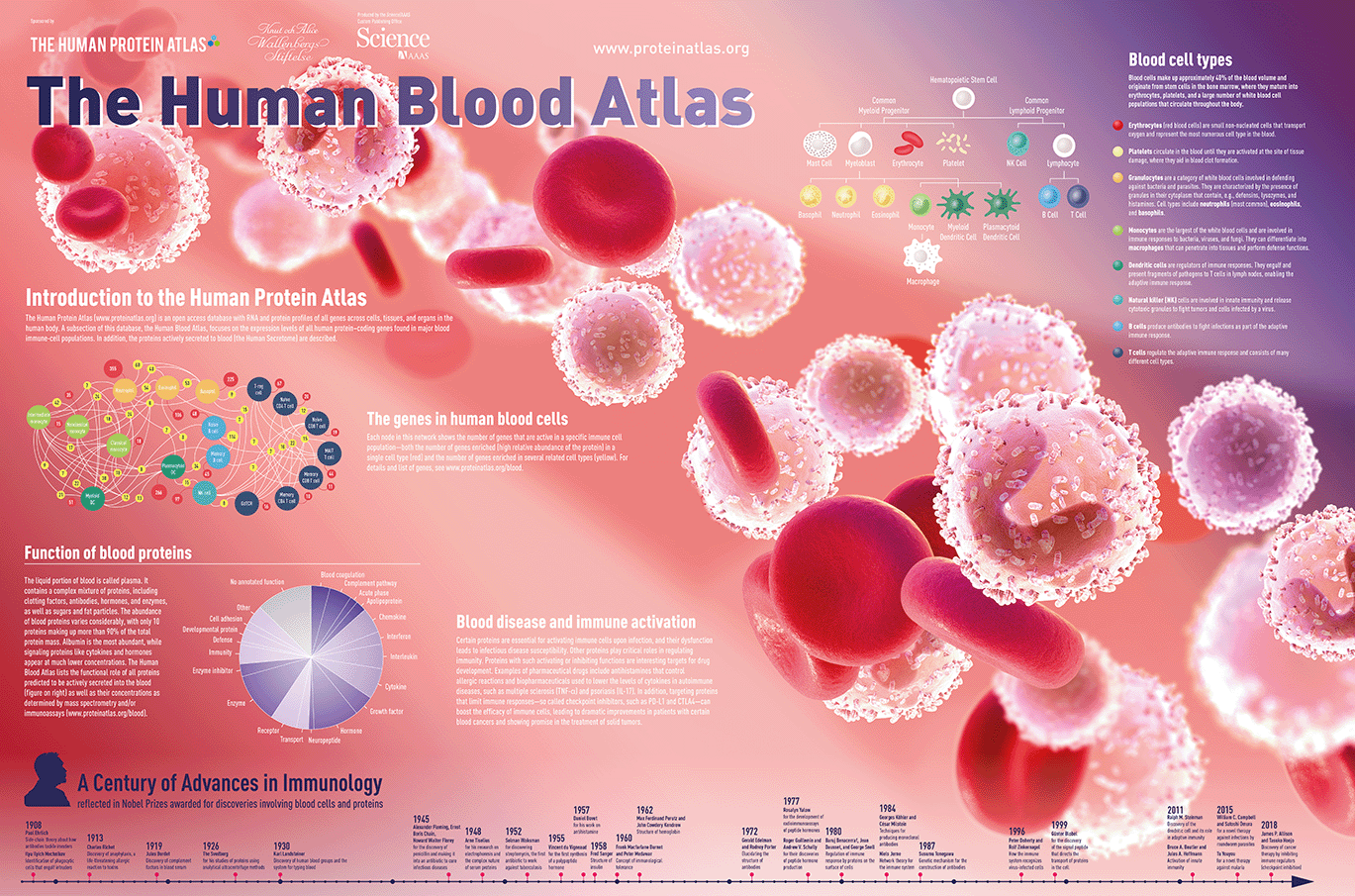 The Human Blood Atlas Poster | | Biomol.com
