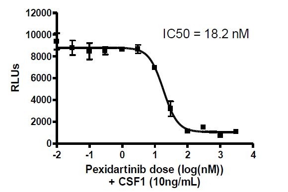 CSF1R / SRE - Reporter HEK293 Recombinant Cell Line | BPS Bioscience ...