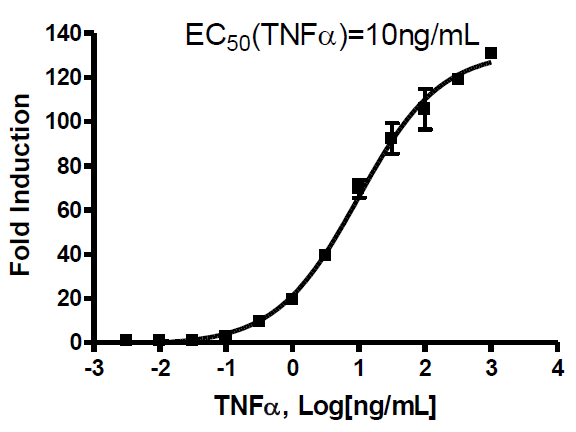 NF- kappaB Reporter (Luc) - THP-1 Cell Line | BPS Bioscience | Biomol.com