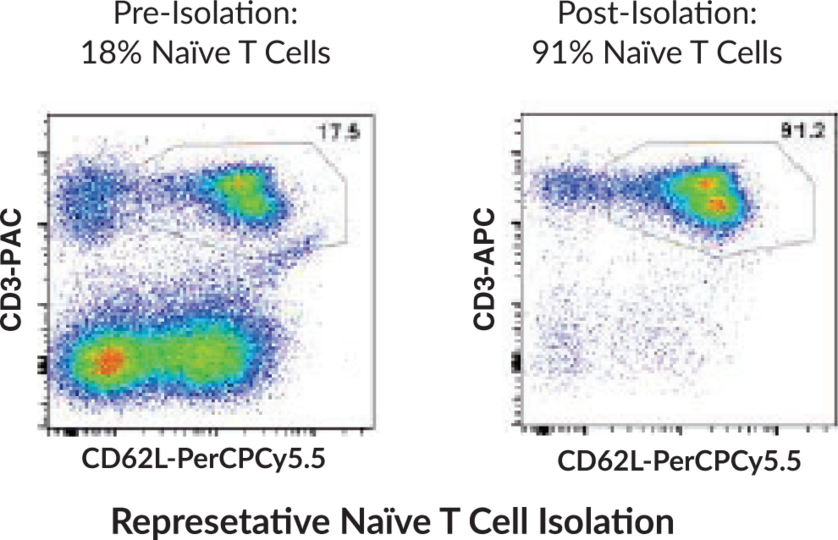Mouse Naïve T Cell Isolation Kit | Cayman Chemical | Biomol.com