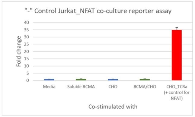 Anti-BCMA CAR Jurkat/NFAT (Luciferase) Reporter Cell Line | BPS ...