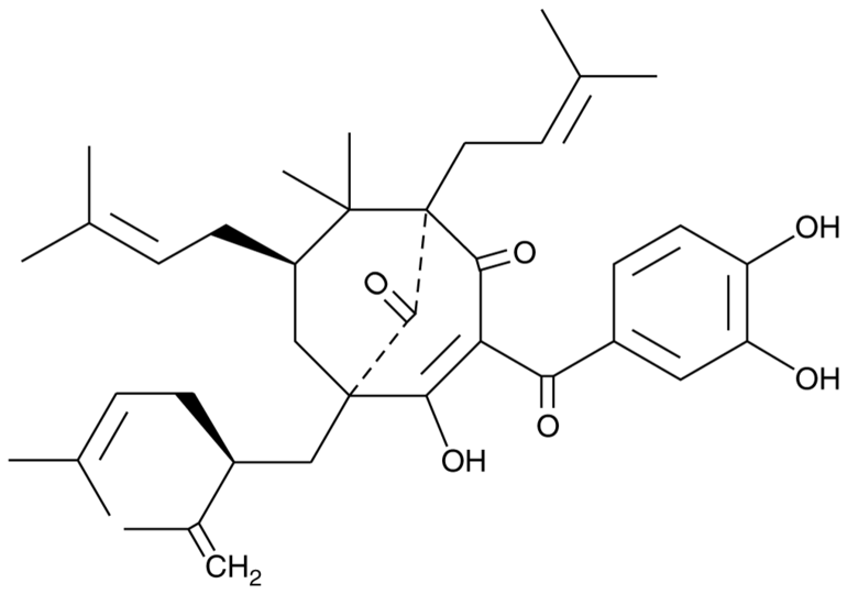 Garcinol | CAS 78824-30-3 | Cayman Chemical | Biomol.com