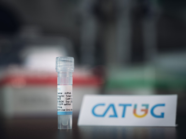 CatPure(TM) EGFP saRNA | CATUG | Biomol.com