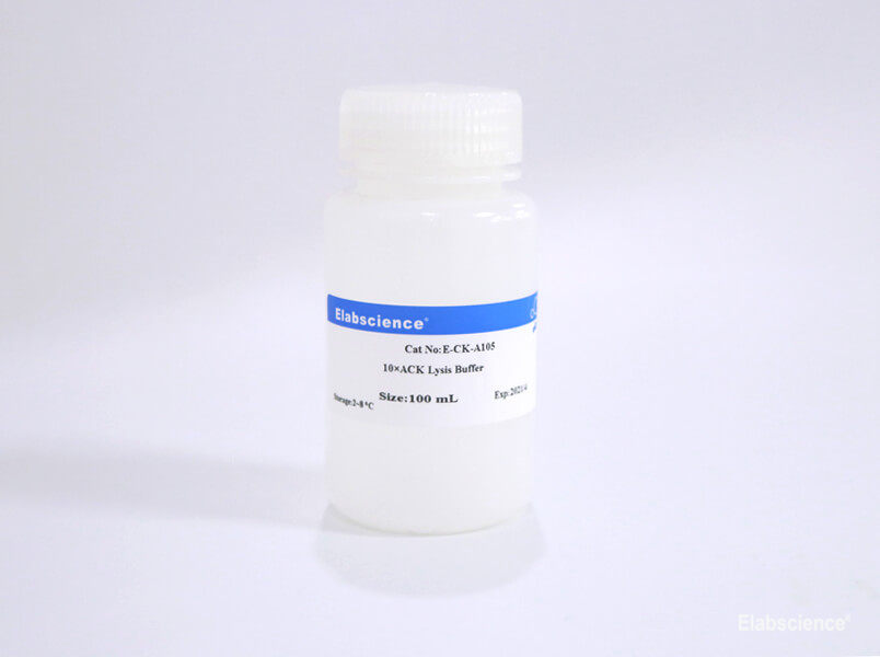 10×ACK Lysis Buffer | Elabscience | Biomol.com