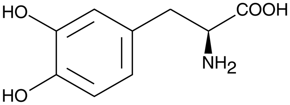 L-DOPA | CAS 59-92-7 | Cayman Chemical | Biomol.com