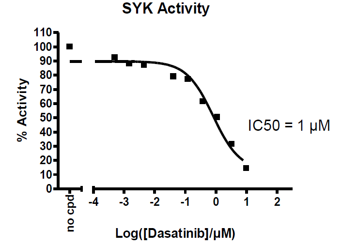 SYK Assay Kit | BPS Bioscience | Biomol.com