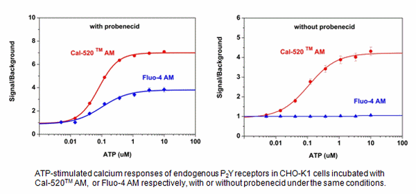 Cal-520(TM), AM | AAT Bioquest | Biomol.com