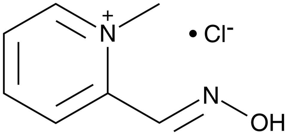 Pralidoxime (chloride) | CAS 51-15-0 | Cayman Chemical | Biomol.de