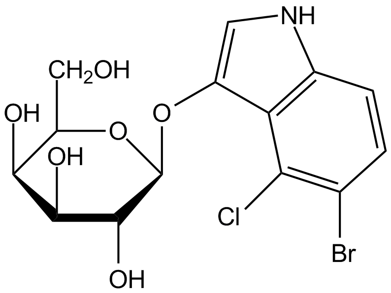 X-Gal | CAS 7240-90-6 | AdipoGen Life Sciences | Biomol.com