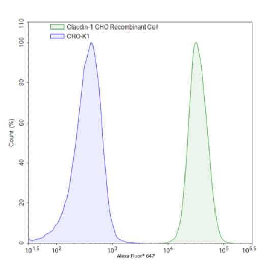 Claudin-1 CHO Cell Line | BPS Bioscience | Biomol.com