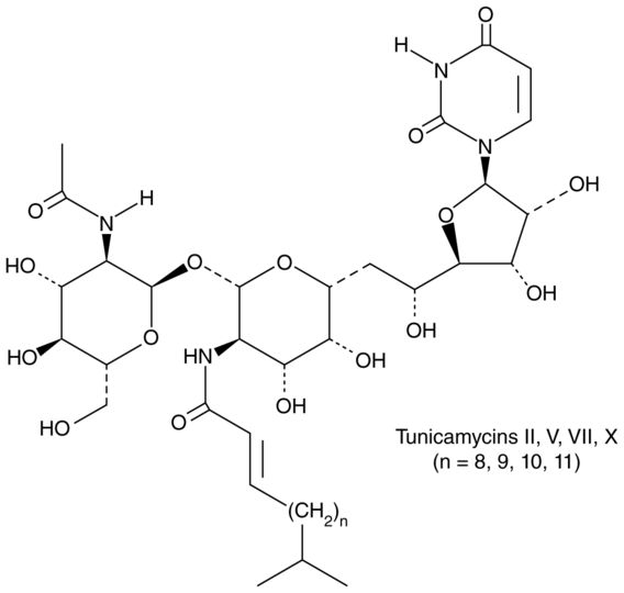 Tunicamycin Mixture | CAS 11089-65-9 | Cayman Chemical | Biomol.com