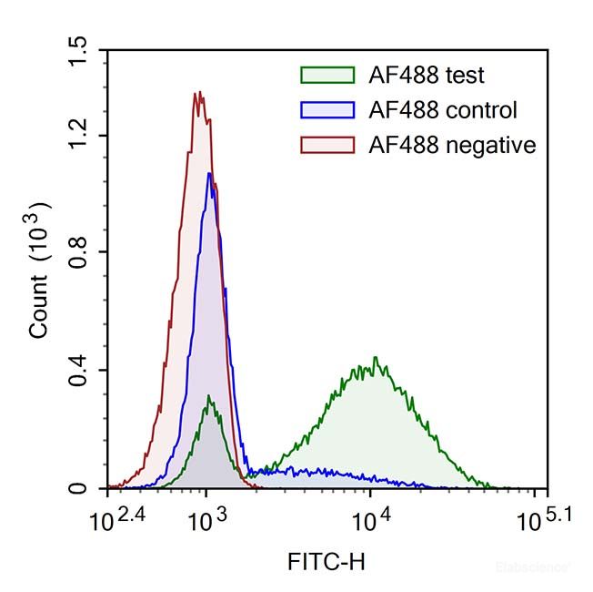 One-step TUNEL Flow Cytometry Apoptosis Kit (Green, AF488 ...