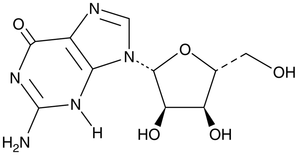 Guanosine | CAS 118-00-3 | Cayman Chemical | Biomol.com