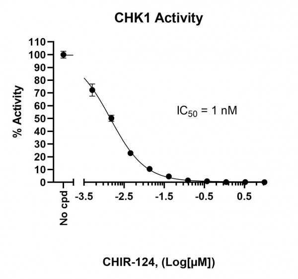 CHK1 Kinase Assay Kit | BPS Bioscience | Biomol.com