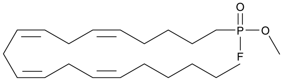 Methyl Arachidonyl Fluorophosphonate | CAS 188404-10-6 | Cayman ...