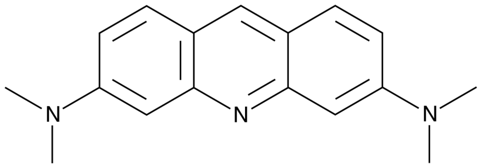 Acridine Orange | CAS 494-38-2 | Cayman Chemical | Biomol.com