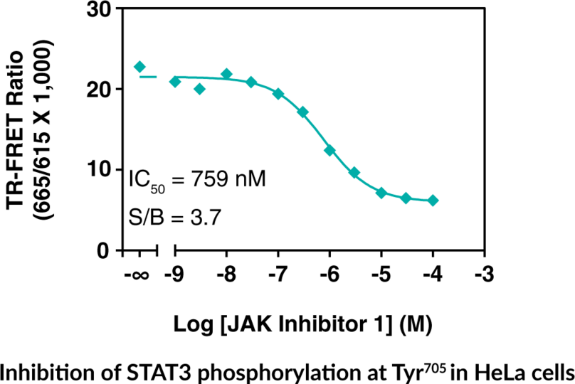 STAT3 (Phospho-Tyr705) TR-FRET Assay Kit | Cayman Chemical | Biomol.com