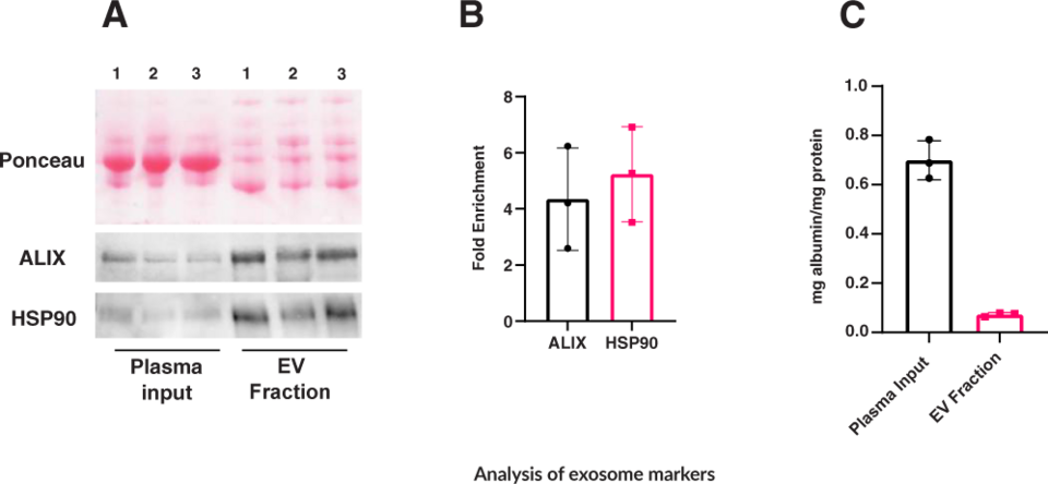 Extracellular Vesicle Isolation Kit Cayman Chemical