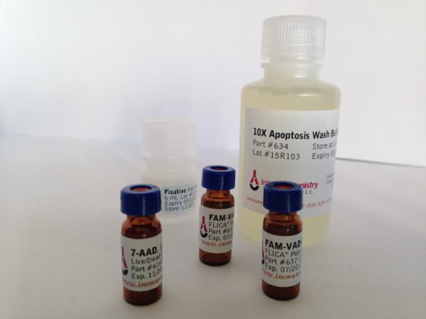 Necrosis vs Apoptosis Assay Kit | ImmunoChemistry Technologies | Biomol.com