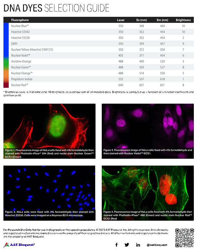 AAT Bioquest | Catalogs | Resources | Biomol GmbH - Life Science Shop AAT Bioquest | Catalogs | Resources | Biomol GmbH - Life Science Shop