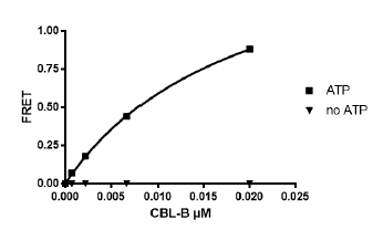 CBL-B, GST-Tag (Human) | BPS Bioscience | Biomol.com