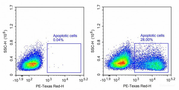 One-step TUNEL Flow Cytometry Apoptosis Kit (Red, AF555) | Elabscience ...