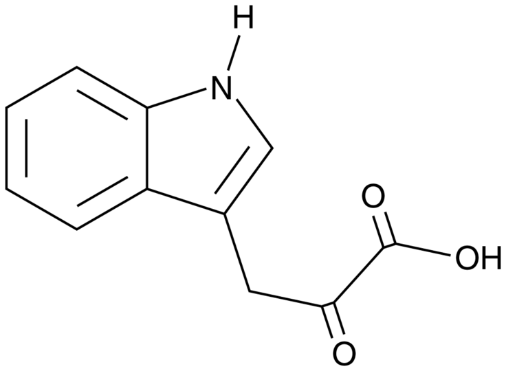 Indole-3-pyruvic Acid | CAS 392-12-1 | Cayman Chemical | Biomol.de