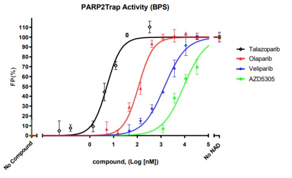 PARPtrap(TM) Assay Kit for PARP2 | BPS Bioscience | Biomol.com