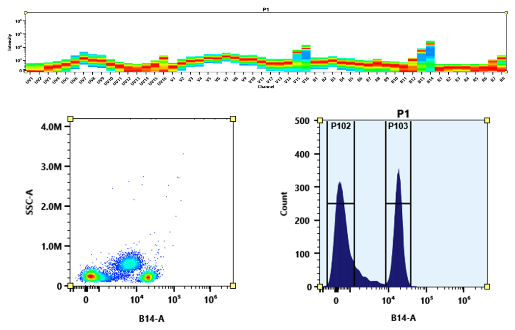 PerCP-iFluor(R) 780 | AAT Bioquest | Biomol.de