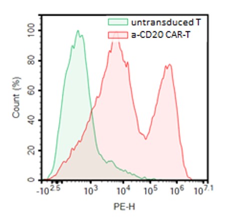 Anti-CD20 CAR-T Cells | BPS Bioscience | Biomol.com