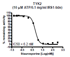TYK2 (Tyrosine Kinase 2) Assay Kit | BPS Bioscience | Biomol.com