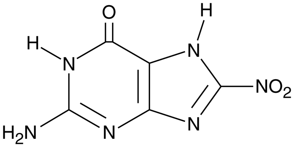 8-Nitroguanine | CAS 168701-80-2 | Cayman Chemical | Biomol.com
