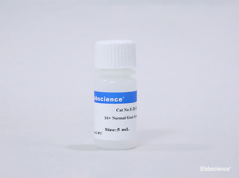 10× Normal Goat Blocking Buffer | Elabscience | Biomol.de