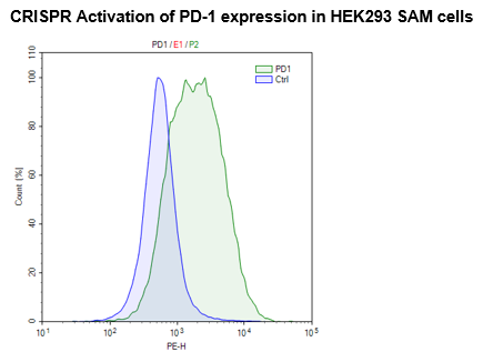 PD-1 (Human) sgRNA-MS2 Lentivirus (Integrating) | BPS Bioscience ...