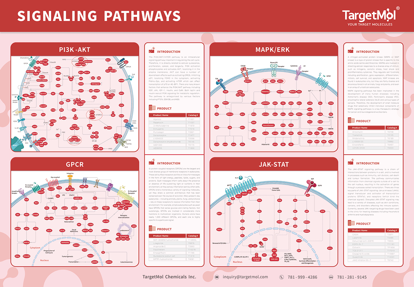Wall Posters | Resources | Biomol GmbH - Life Science Shop